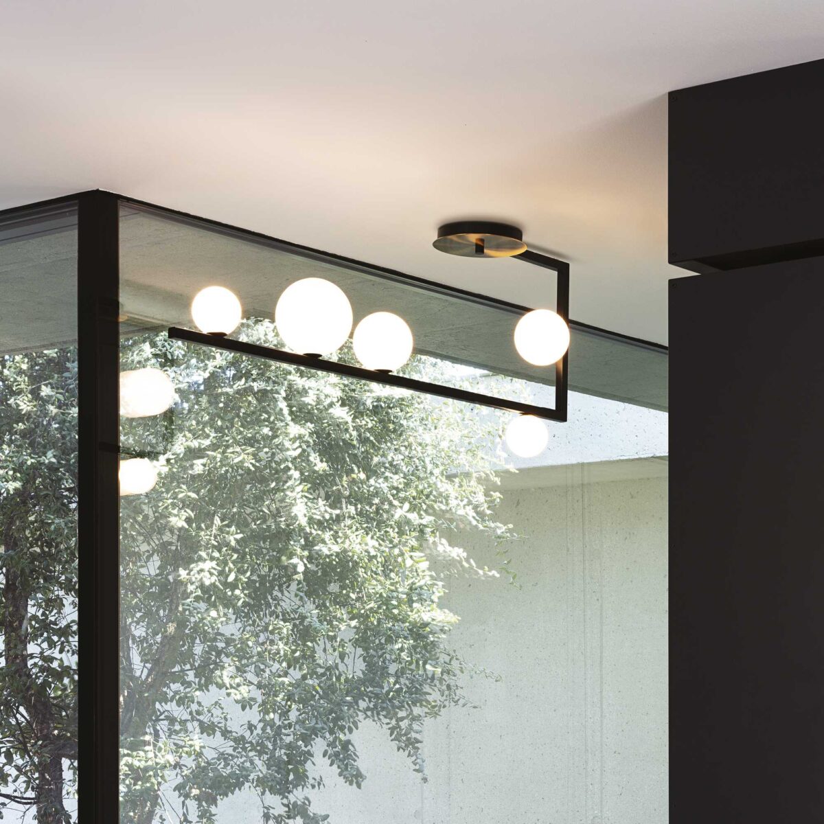 BIRDS PL5 - Expo Luce